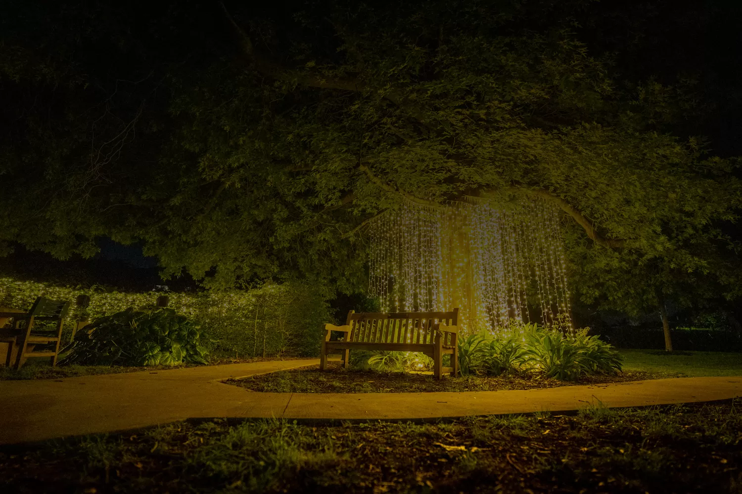 Mercy Hospice – Palliative Care