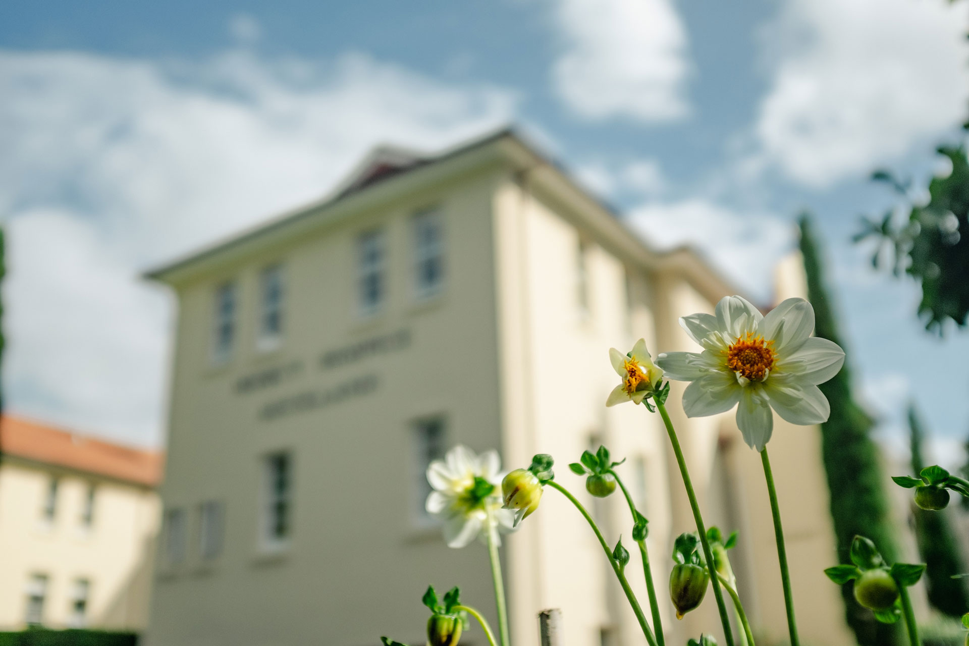 Mercy Hospice – Palliative Care