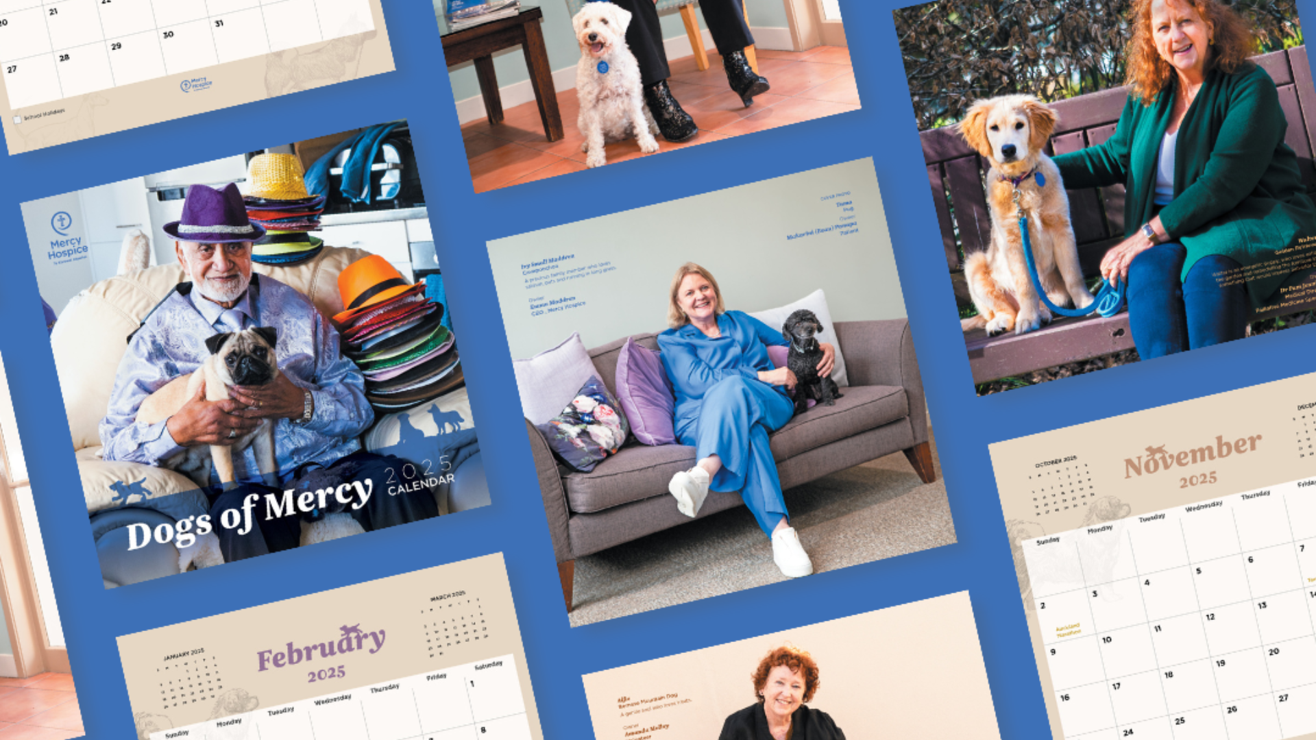 Mercy Hospice – Palliative Care